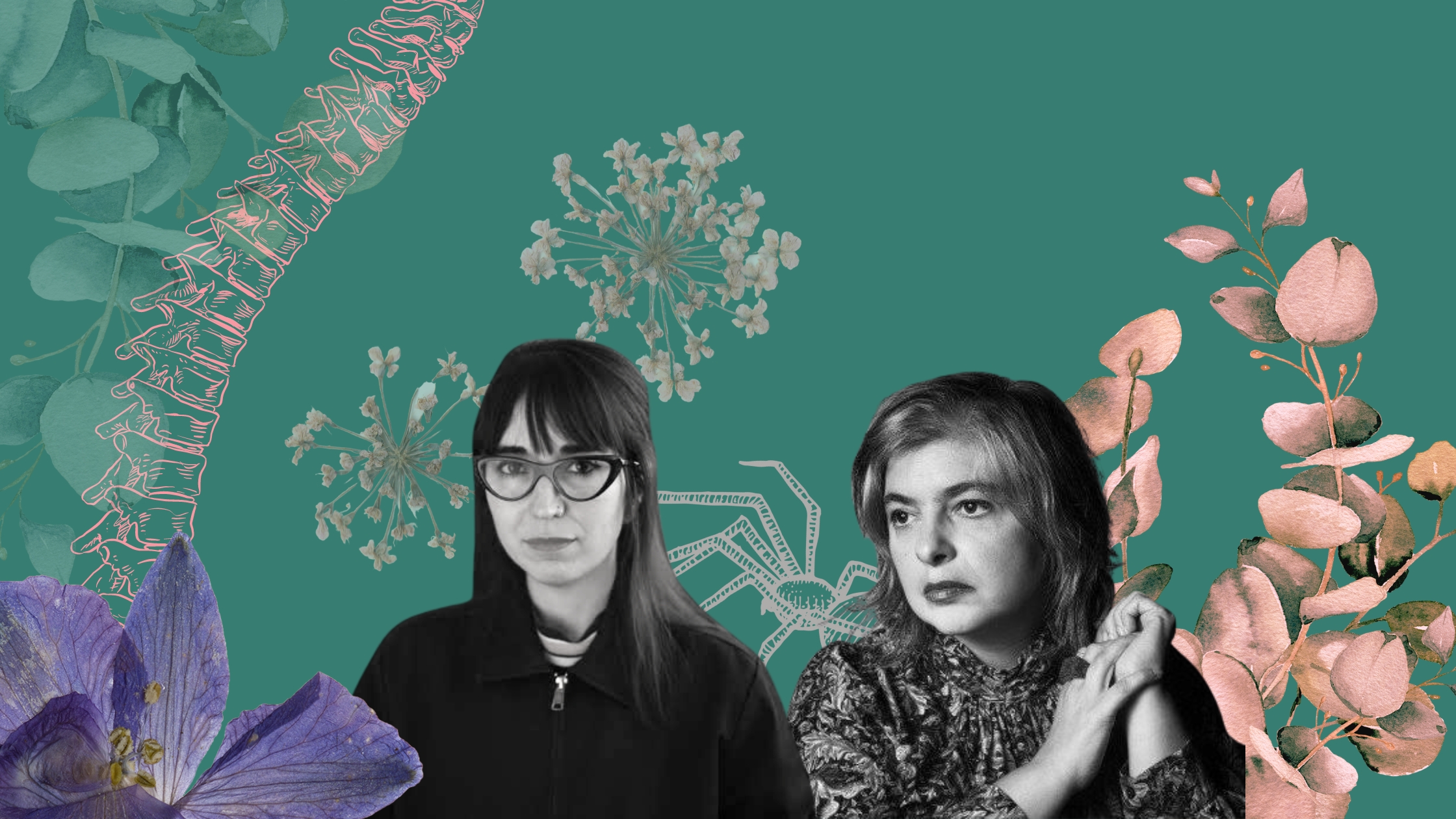 De Mariana Enriquez a Michelle Garza Cervera: El horror como ...